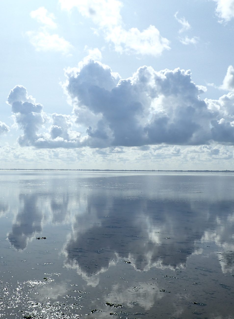 Photography – Coastally Curious