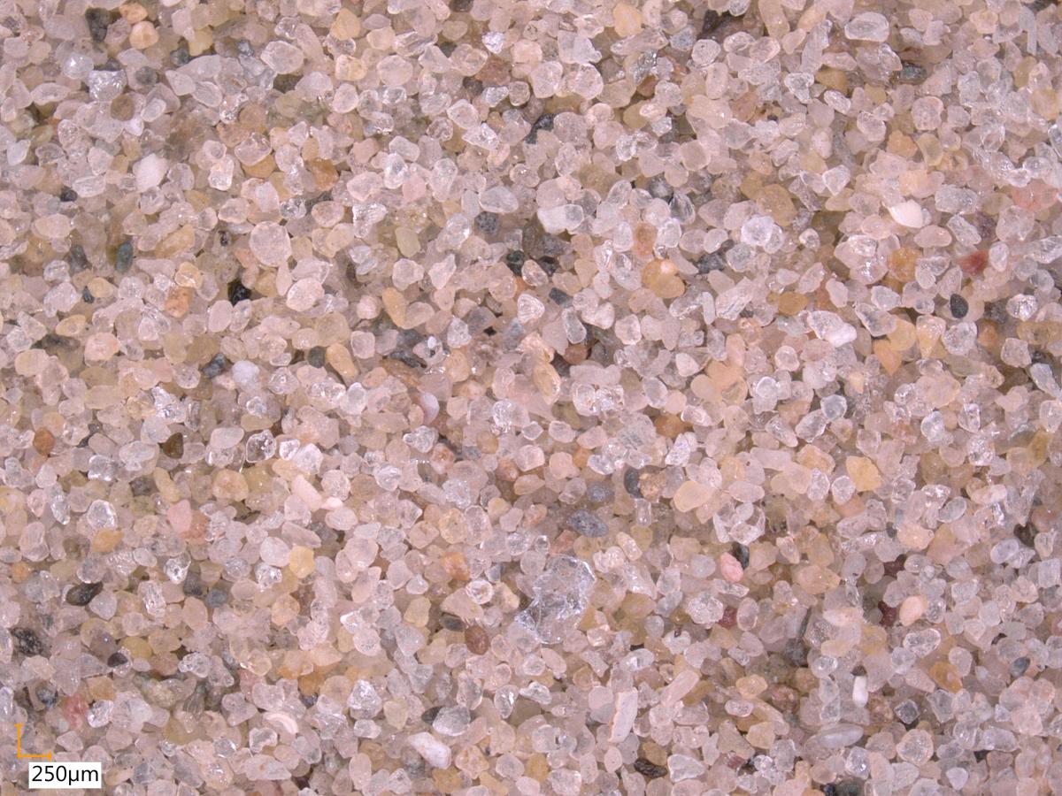 Sand: Nourishment at Ameland – Coastally Curious