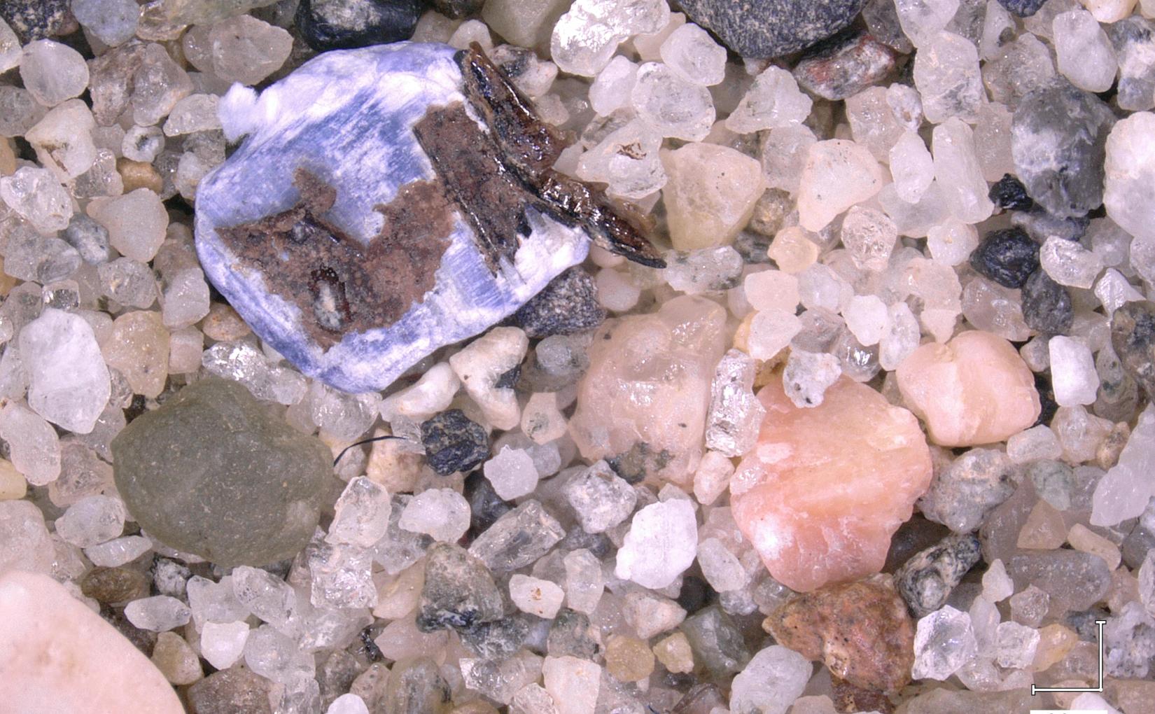 Sand: UBC Cliffs/Wreck Beach – Coastally Curious