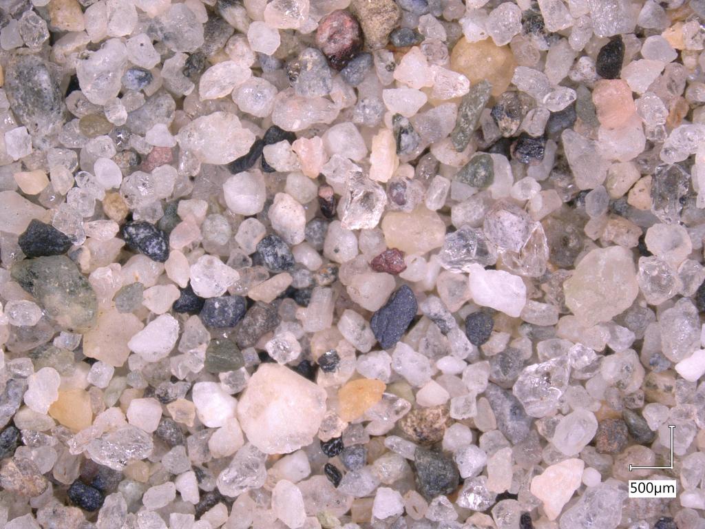 Sand: UBC Cliffs/Wreck Beach – Coastally Curious