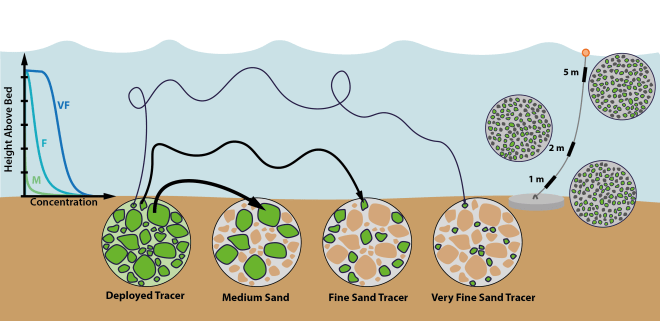 Sediment Pathways on Ebb-Tidal Deltas – Coastally Curious