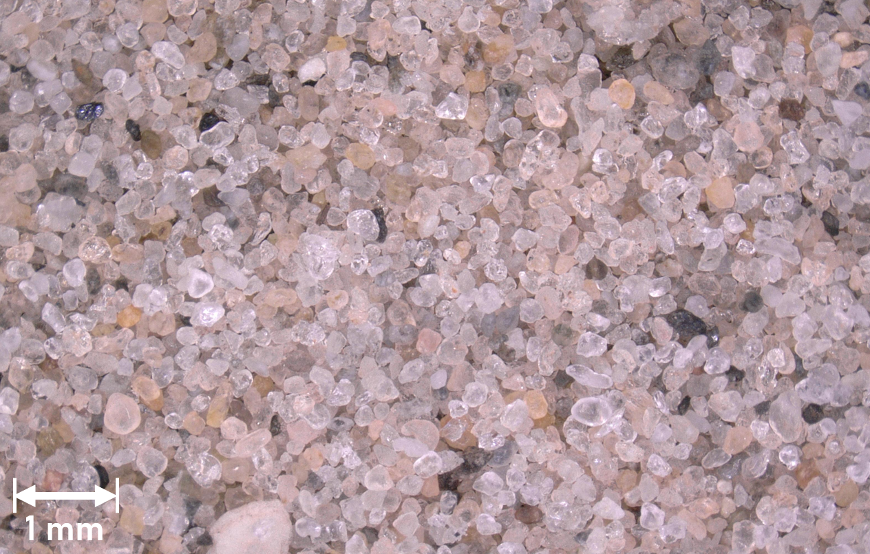 Sediment Pathways on Ebb-Tidal Deltas – Coastally Curious